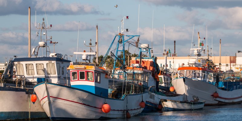 The Top 6 Things To See And Do In And Around Olhao | Clickstay