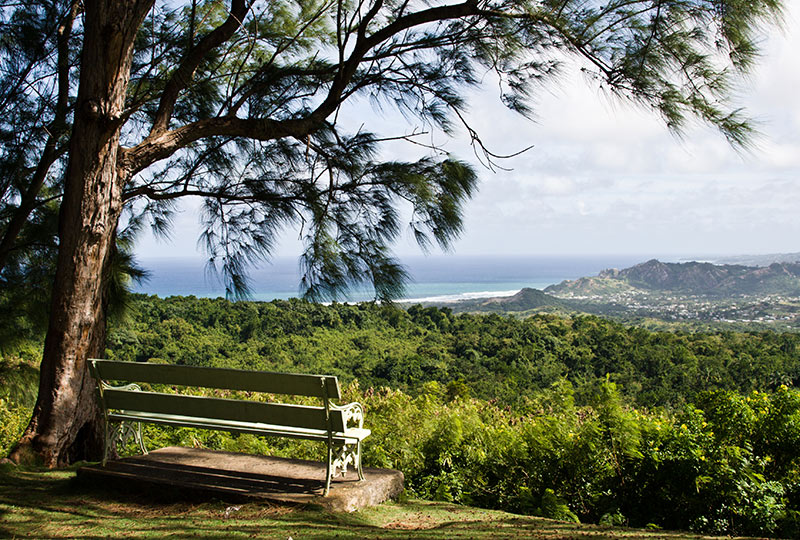 Why Barbados Is Perfect For Your Winter Getaway | Clickstay